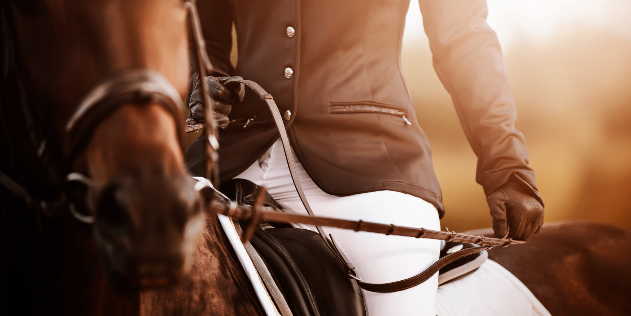 It's Here: The Big Guide to What Color Tack for a Black Horse - Pro ...
